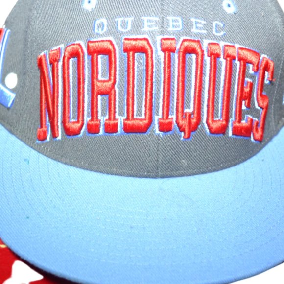 Zephyr | Accessories | By Zephyr Hat Quebec Nordiques Hat One Size Gray ...